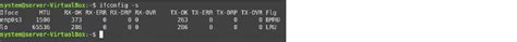 “ifconfig” Command In Linux Mint 21 Linux Genie