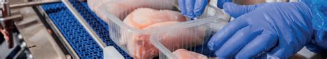 Saúde Intestinal De Frangos De Corte Avinews Brasil