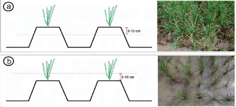 Condition Of Water Surface For Water Saturated Soil A And