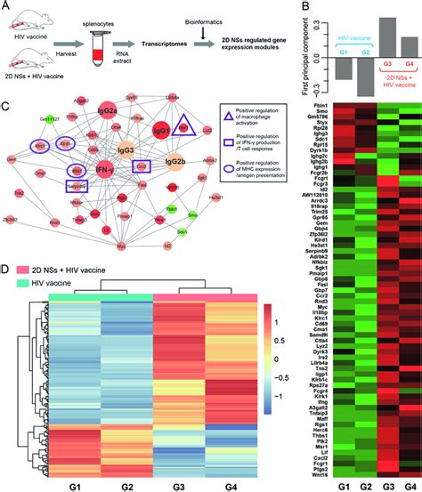 Transcriptome Profiling In Mice Treated With Hiv Vaccine Alone Or Hiv