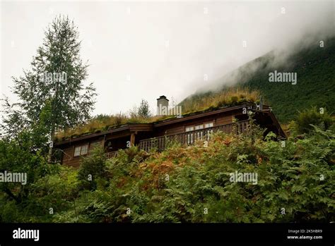Grass Roofing On A House In Olden Norway Wooden Cabin House With Grass Roof Green Roof Cabin