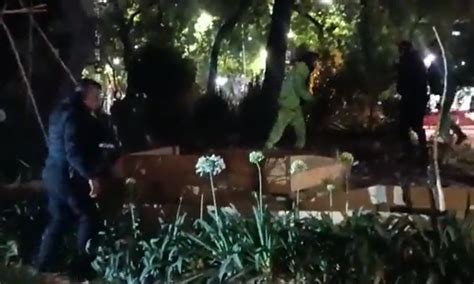 Retiran Plantón Que Promovía El Uso Lúdico De La Marihuana En