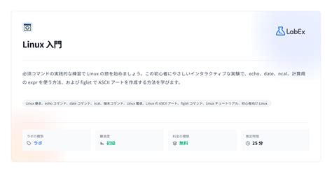 Linux 入門 基本コマンドと実践 Labex