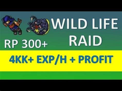 Tibia Guias RP 300 Wild Life Raid 4kk Exp H Y Profit YouTube