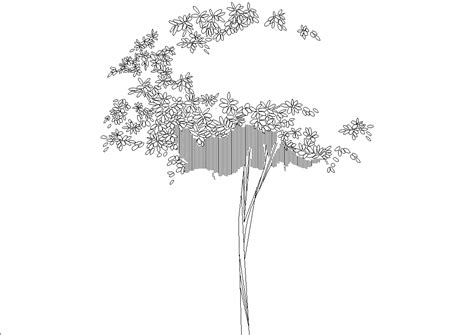 Tree 2d Elevation In Autocad Download Cad Free 3187 Kb Bibliocad