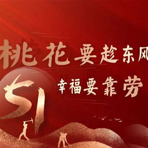 桃花要趁东风开 幸福要靠劳动来 青岛七中2020级2班五一劳动节掠影 卜俊祯 父母 饺子皮