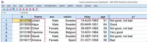 spss data preparation 3 inspect variable types