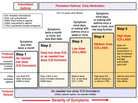 Pulmonary Function Tests Pft Overview And Understanding