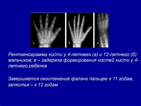 Физиология детей и подростков (лекция 1) - презентация онлайн
