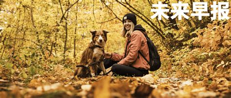 早报 微软将 GPT 4 全面接入 Office 炉石传说被移出亚运 泰坦尼克号再重映 文心一 Google 项目