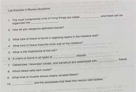 Solved Lab Exercise Review Questions And These Can Be Chegg