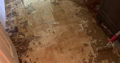 I Need Help Identify What This Is Album On Imgur