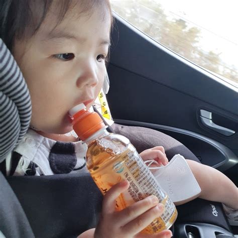 아기보리차추천 엘빈즈 유기농보리차 아기음료 대신 마셔요 네이버 블로그