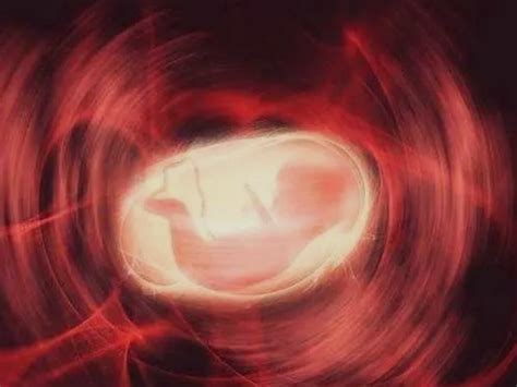 一胎属猪二胎属什么合适、属羊好不好一看便知，不懂戳 相因网