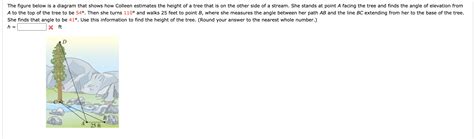 Solved The Figure Below Is A Diagram That Shows How Colleen