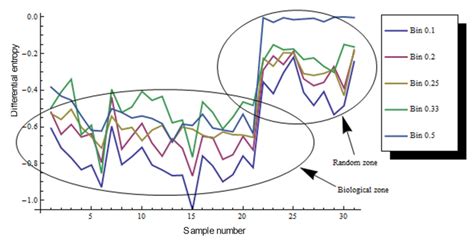 Entropy Free Full Text Entropy As A Geometrical Source Of