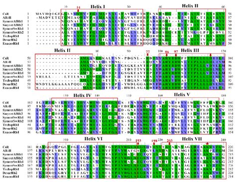 Sequence Comparison Of Identified Rhodopsins Clustered With Algal
