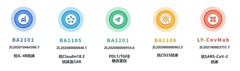 博安生物迎来发明专利授权爆发期，知识产权与新药研发深度融合，构建企业发展价值链 新闻中心 博安生物，山东博安，博安新型抗体，博安生物类似药
