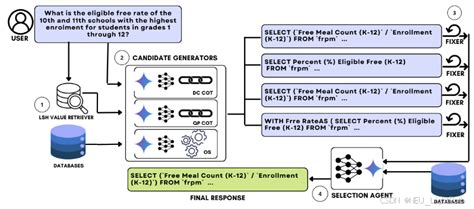 chase sql multi path reasoning and preference optimized candidate