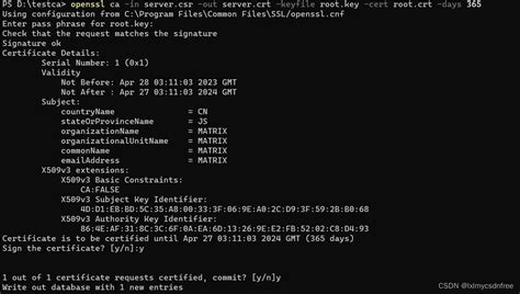 Openssl Https