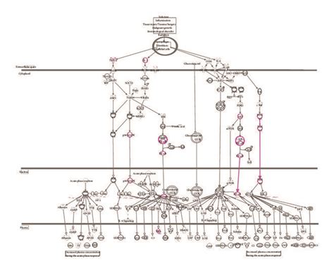 Top Five Pathways Purple Symbols Represent The Shared Degs A