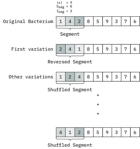 cohesive segment process in algorithm 3 download scientific diagram