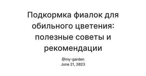 Подкормка фиалок для обильного цветения: полезные советы и рекомендации ...