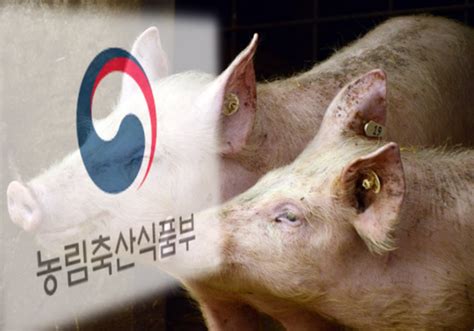 전국 도축장 일제소독농식품부장관도 구제역방역 방문해