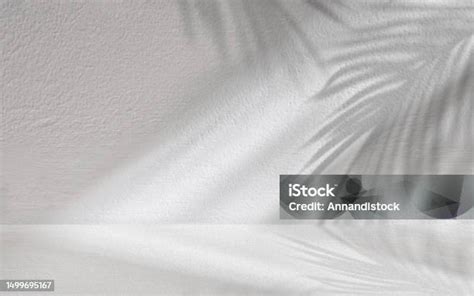 스튜디오 배경 회색 콘크리트 벽 배경에 햇볕이 잘 드는 그림자 시멘트 바닥에 추상적인 조명이 있는 빈 흰색 스튜디오 룸 제품