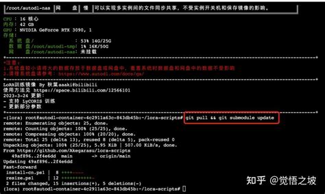 Lora炼丹模型训练教程之线上版 知乎