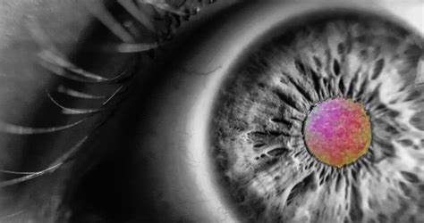 The Future Of Glaucoma Detection And Monitoring Part 3 Glaucoma Australia