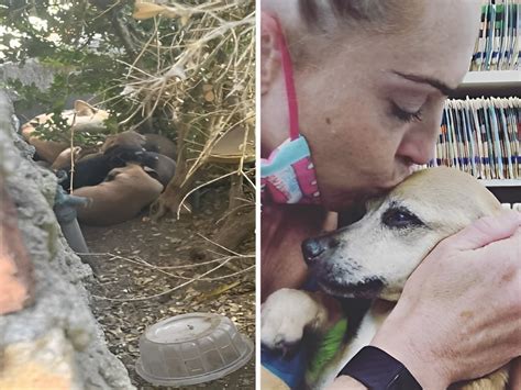 Surprising Find Made By Woman In Southern California Is In An
