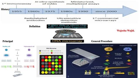 Microarray Technology History Types And Principle Pptx Genetics Science
