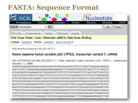 Ppt Genomics And Personalized Care Lab Session Powerpoint Presentation Id6578737