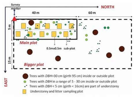 Diagram Of Nested Plot For C Stock Measurement Hairiah Et Al