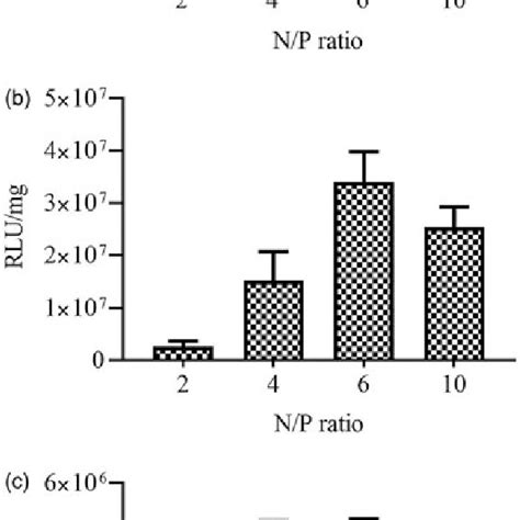 Conventional Yeast Surface Display System For The Screening Of