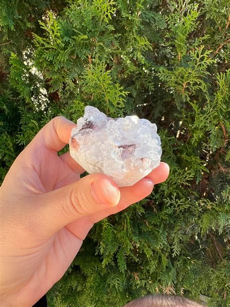 Gorgeous Apophylite Cluster 14 Crystal Collector High Etsy