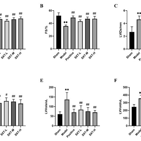 Effect Of Sxt On The Cardiac Function Of Chf Rats Chf Rats Were
