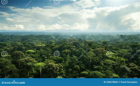 Amazon Amazonian Canopy Incredible Stock Illustration Illustration Of Tropical Lake 290678850