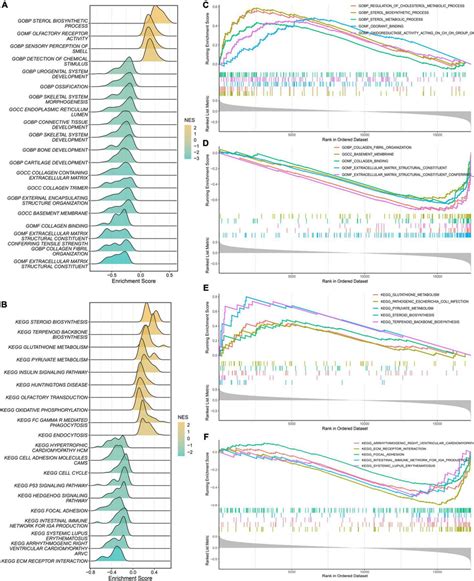 Gene Set Enrichment Analysis Gsea A The Ridge Plot Of The Top 20