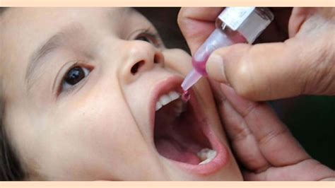 Is Polio Contagious Understanding Transmission Risks Credihealth