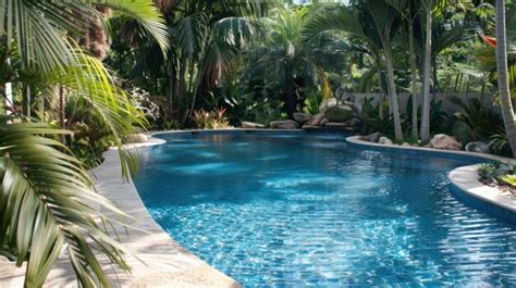 Swimming Pool Oasis Premium Ai Generated Image