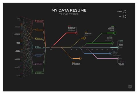 Travis Tester 📊 On Linkedin Datavisualization Resume Informationdesign