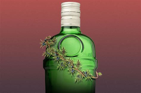 Juniper Gins Defining Ingredient Is In Decline Wine Enthusiast