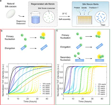 Seeded Aggregation Kinetics Of Regenerated Silk Fibroin A Schematic
