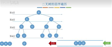 （数据结构）二叉树的层次遍历 csdn博客