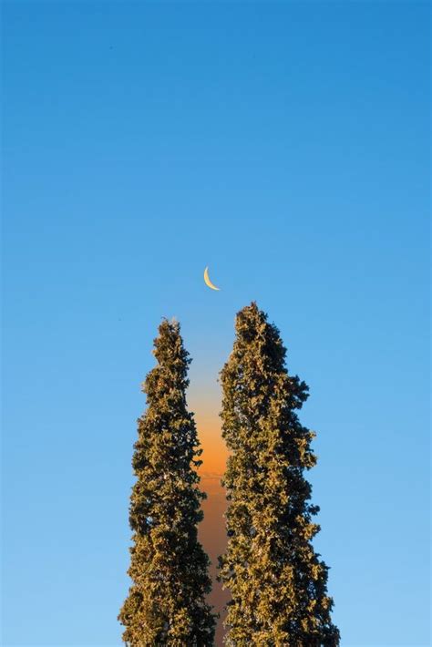 Pin by 19 1 on حبيبي Sky aesthetic Nature aesthetic Aesthetic colors