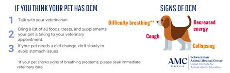 Understanding The Fda Update On Non Hereditary Dilated Cardiomyopathy