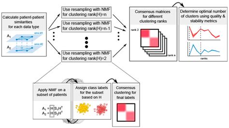 Summarized Sumo Workflow Sumo Uses Nmf To Determine Consensus Class