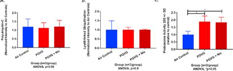 Ubiquitination Expression And Proteasome 20s Activity In Lung Tissue